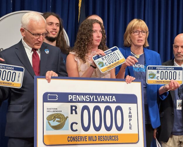 Pennsylvania’s snot otter gets prime spot on new state license plate ...